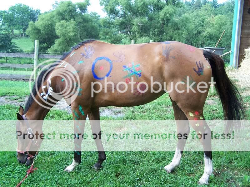 Guilty/Not Guilty Game - Page 2 - Off Course - Chronicle Forums