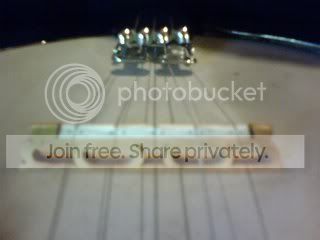 The best banjo bridge is.... - Discussion Forums - Banjo Hangout