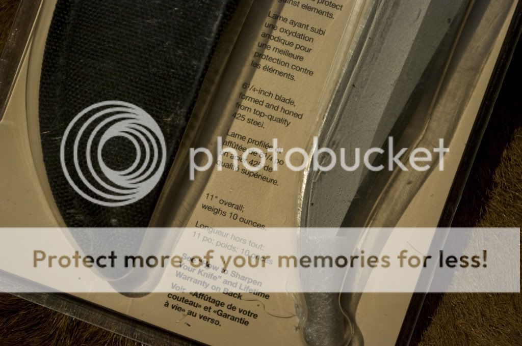 650C Nighthawk: yet another Steel timeline Question on 425m ...