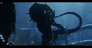The Alien and Predator Animated GIFS thread