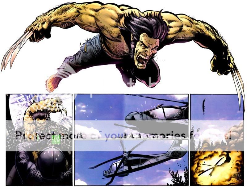 Wolverine vs. Deathstroke - Page 20 - Statue Forum