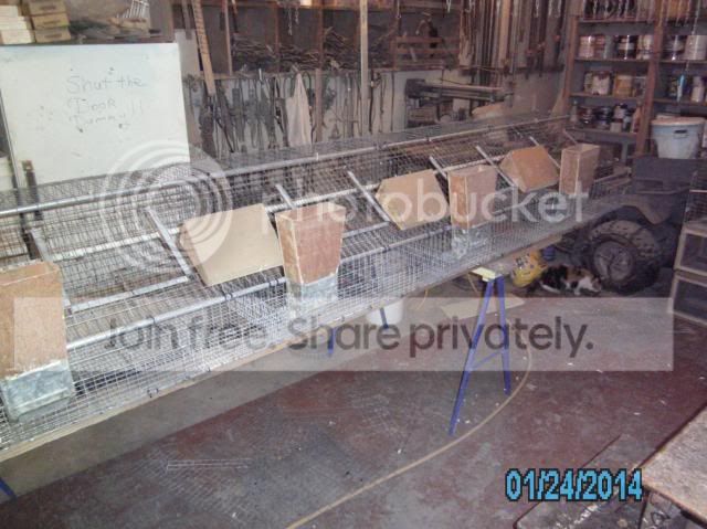 Remodeling grow-out cages. | Rabbit Talk - Meat Rabbit & Farming Forum