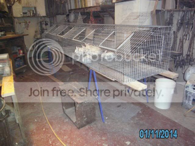 Remodeling grow-out cages. | Rabbit Talk - Meat Rabbit & Farming Forum