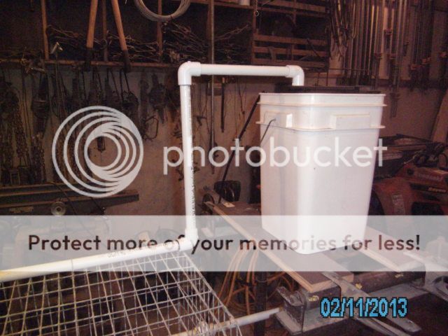 Watering system PVC schedule#40 pics. Beginning to end. | Rabbit Talk ...